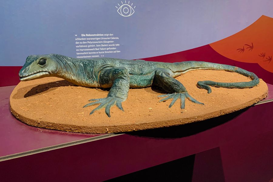 Inselsberg mit Aussichts- und Erlebnisturm - Tourismus Thüringer Wald