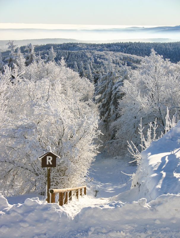 Inselsberg mit Aussichts- und Erlebnisturm - Tourismus Thüringer Wald