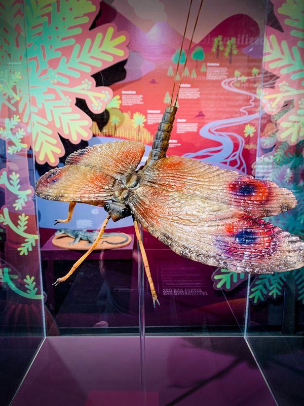 Inselsberg mit Aussichts- und Erlebnisturm - Tourismus Thüringer Wald